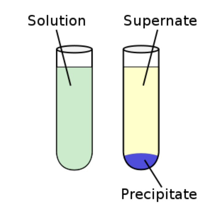 SIX at 6: Chemical Precipitation, David Foster Wallace, Walt Disney ...